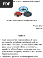 Formaatii Gabaasa Torbee Lama. | PDF