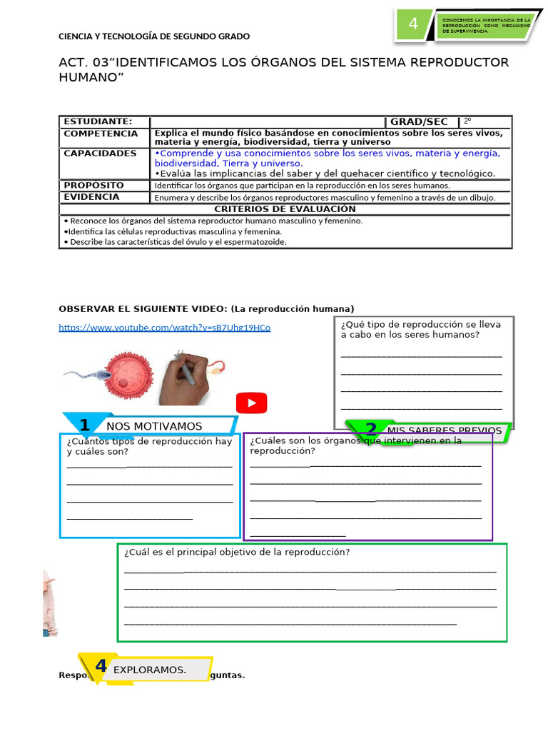 B-2º Act 3 Cyt Unid 4 - Sem 2 | PDF | Sistema reproductivo | Reproducción sexual
