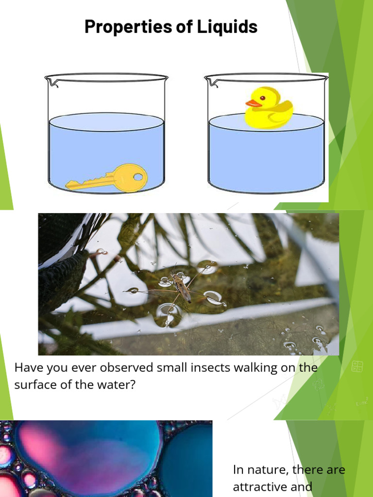 Key Properties of Liquids Explained | PDF | Liquids | Surface Tension