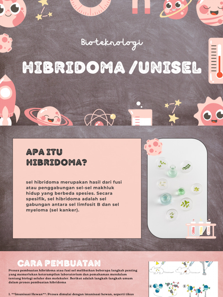 Project Presentation | PDF