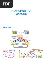 Oxygen Dissociation Curve | PDF | Hemoglobin | Blood