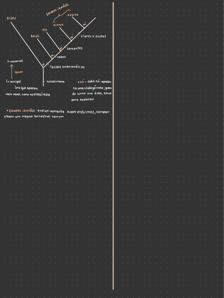 Taxonomia+Sistem%C3%A1tica+2 | PDF