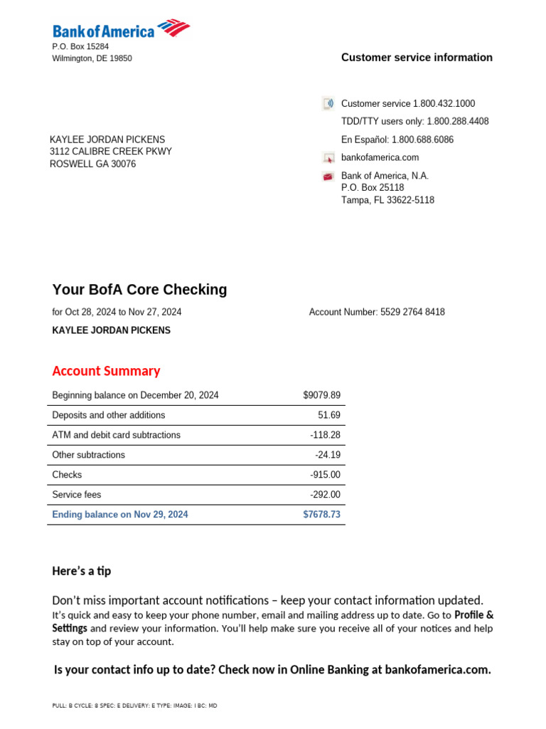 Your Bofa Core Checking: Account Summary | PDF