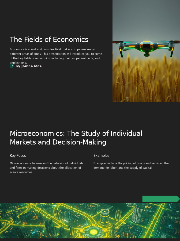 The Fields of Economics | PDF | Economics | Neoclassical Economics