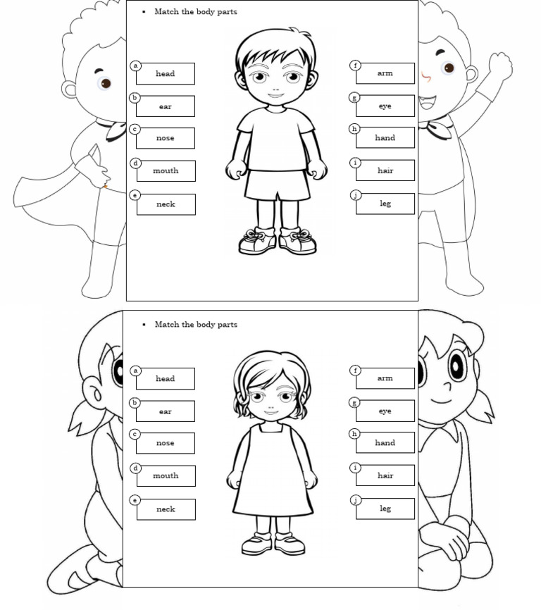 Body Parts Matching Activity | PDF