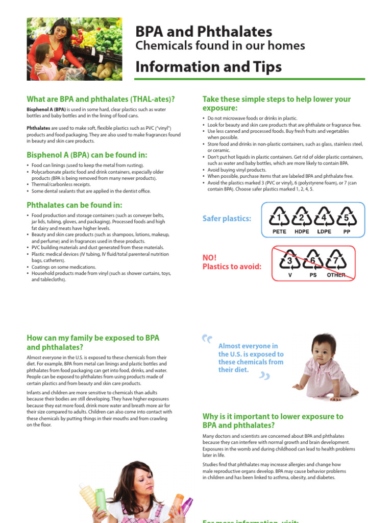210-090E BPAandPhthalates | PDF | Polyvinyl Chloride | Plastic