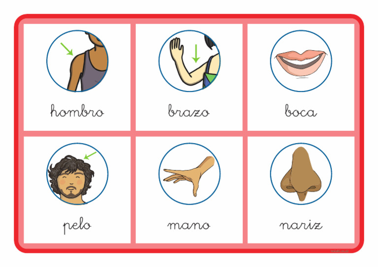 Bingo Partes del Cuerpo 1 | PDF