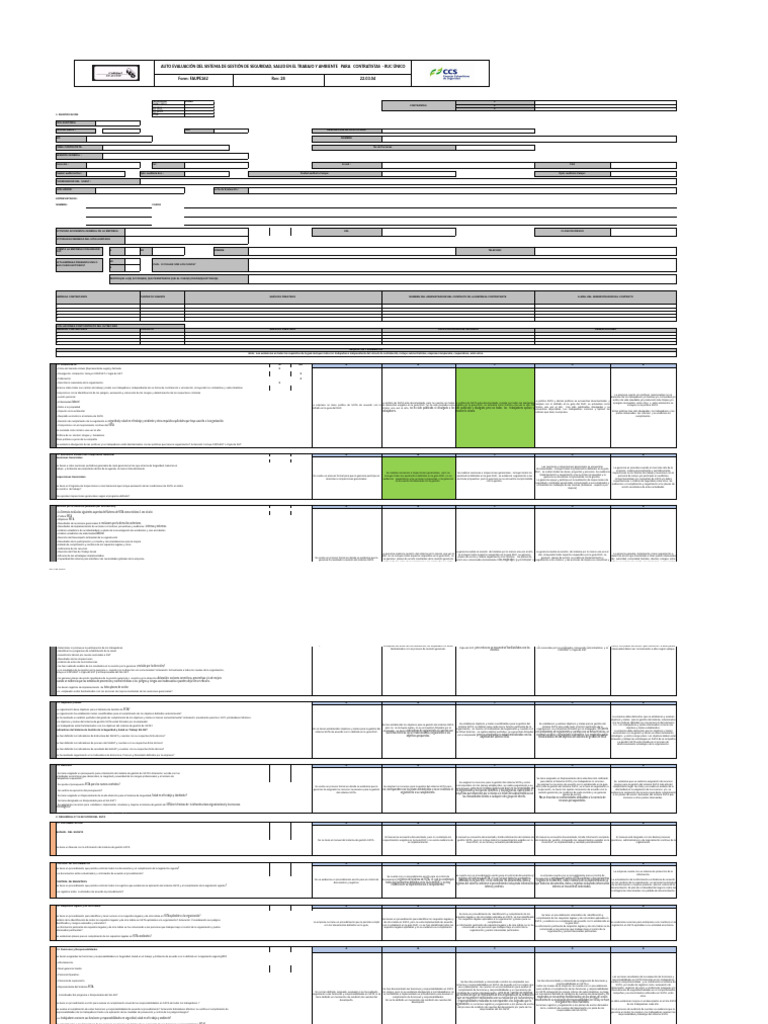GPC179 2022 FAUPE262 Formato Autoevaluacion RUC Rev28 | PDF | Auditoría