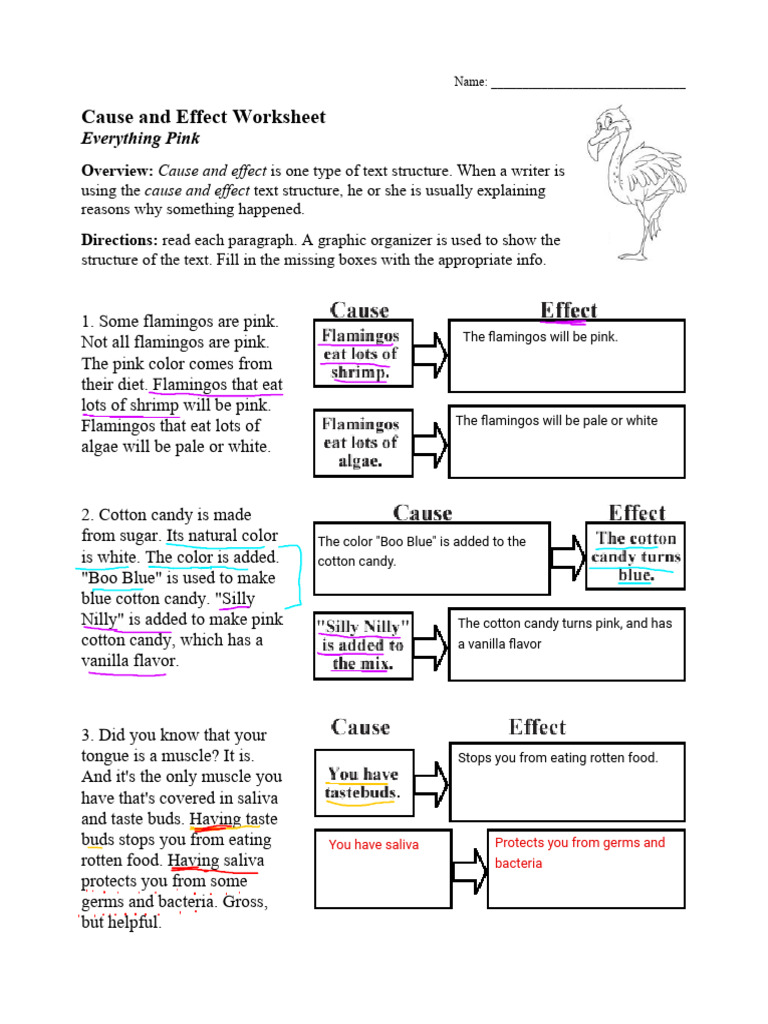 Kami Export - Cause-And-Effect-Worksheet | PDF