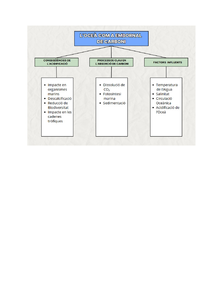Mapa Conceptual | PDF