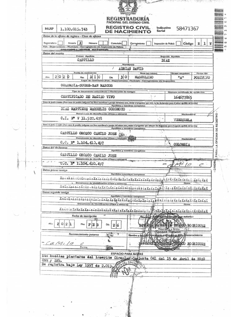 Adrian Castillo | PDF