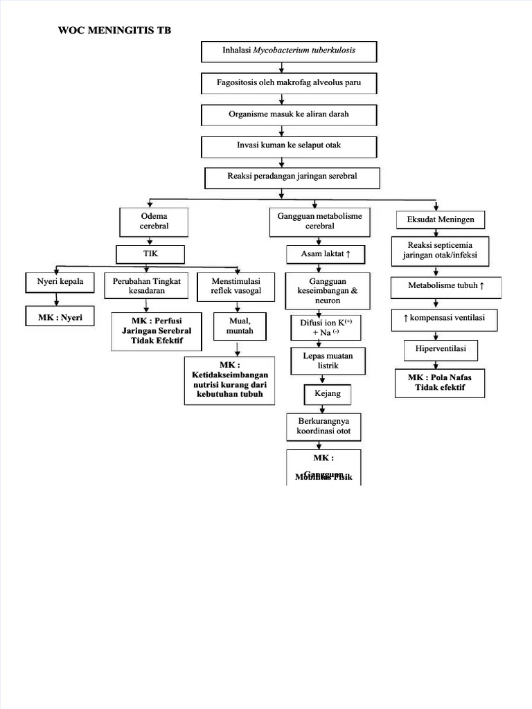 pdf-woc-meningitis-tbdocx_compress | PDF