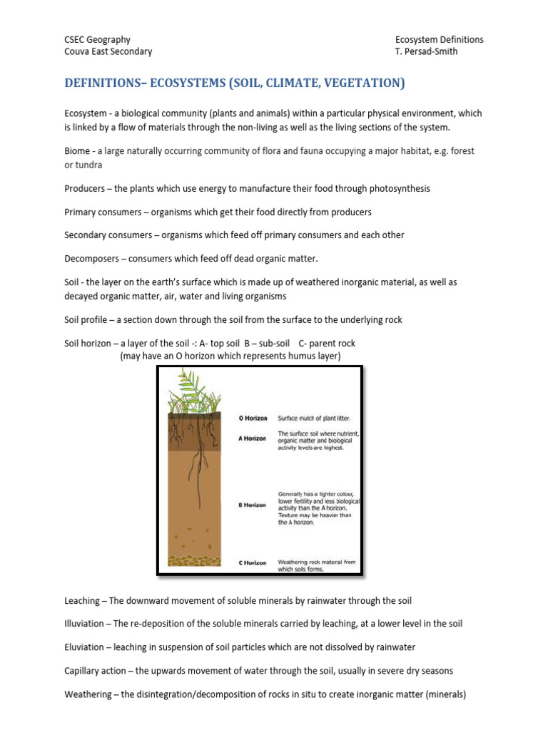 DEFINITIONS - Ecosystems | PDF