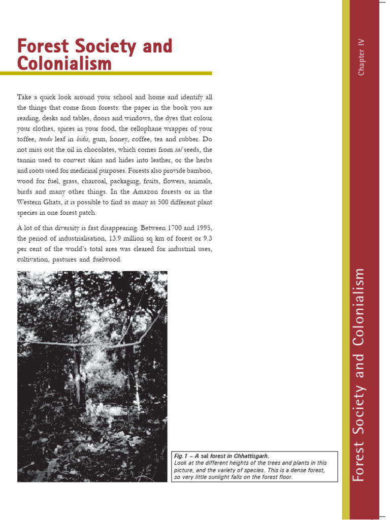 NCERT Class 9 History Forest Society and Colonialism | PDF | Hunting ...