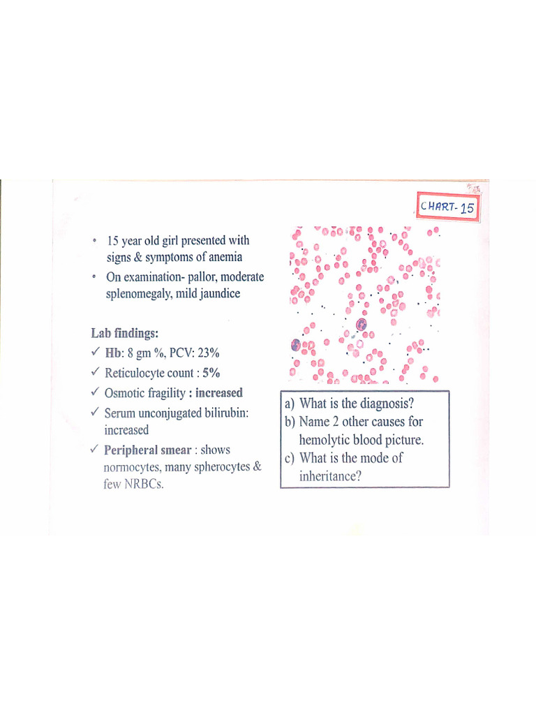Patho Charts - Anemia | PDF