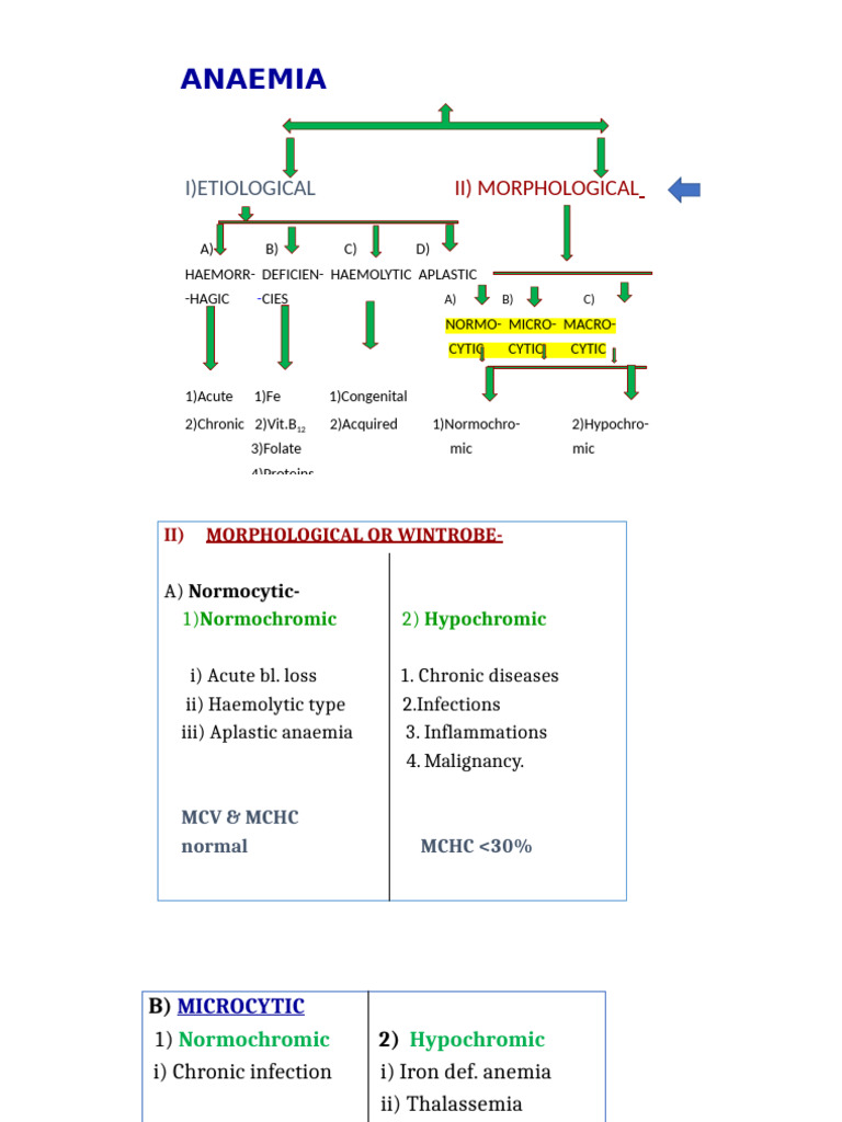 Anemia Classification | PDF