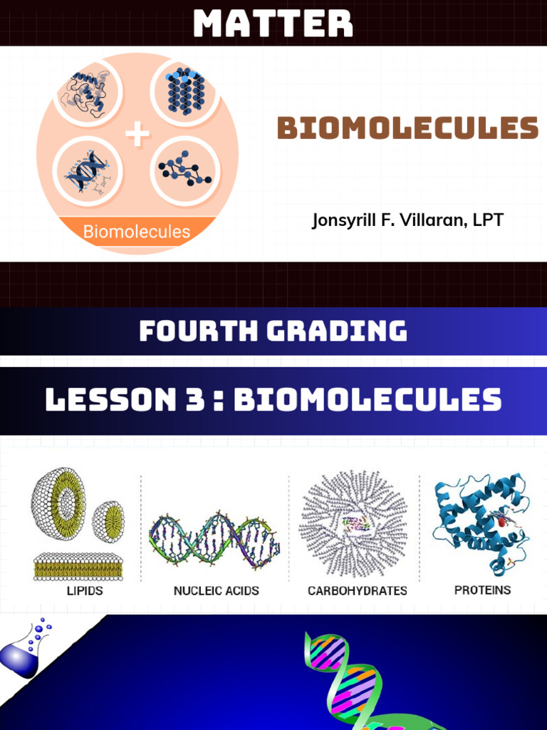 G10 Q4 L3.3 Nucleic Acids | PDF