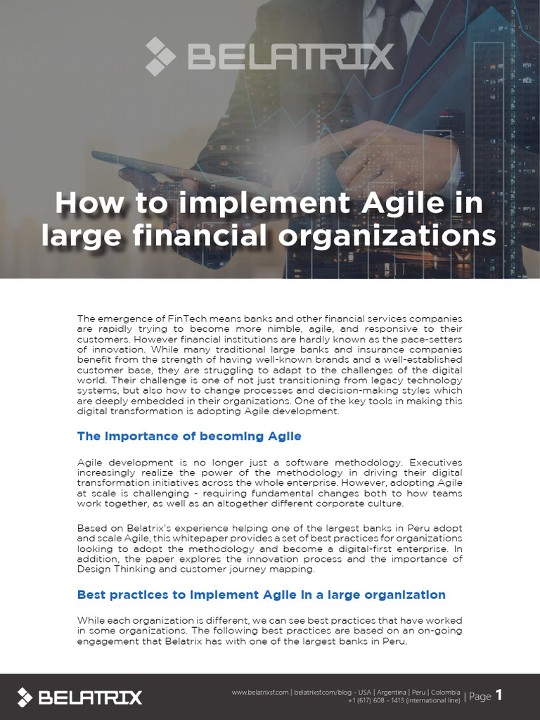 Whitepaper How To Implement Agile in Large Financial Organizations ...