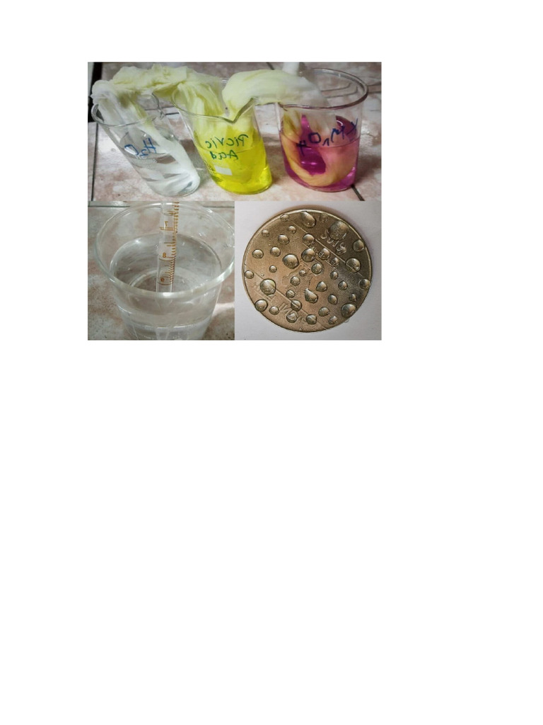 BBT Lab Pic | PDF