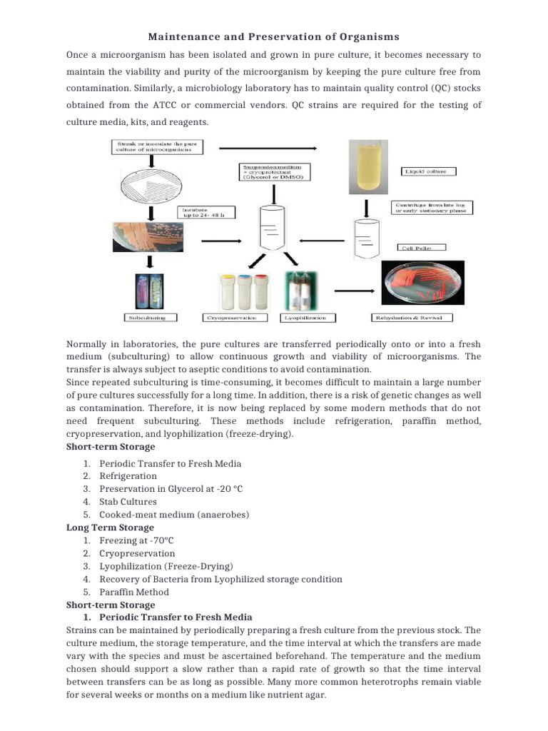 Microbial Preservation Techniques | PDF | Spectrophotometry ...