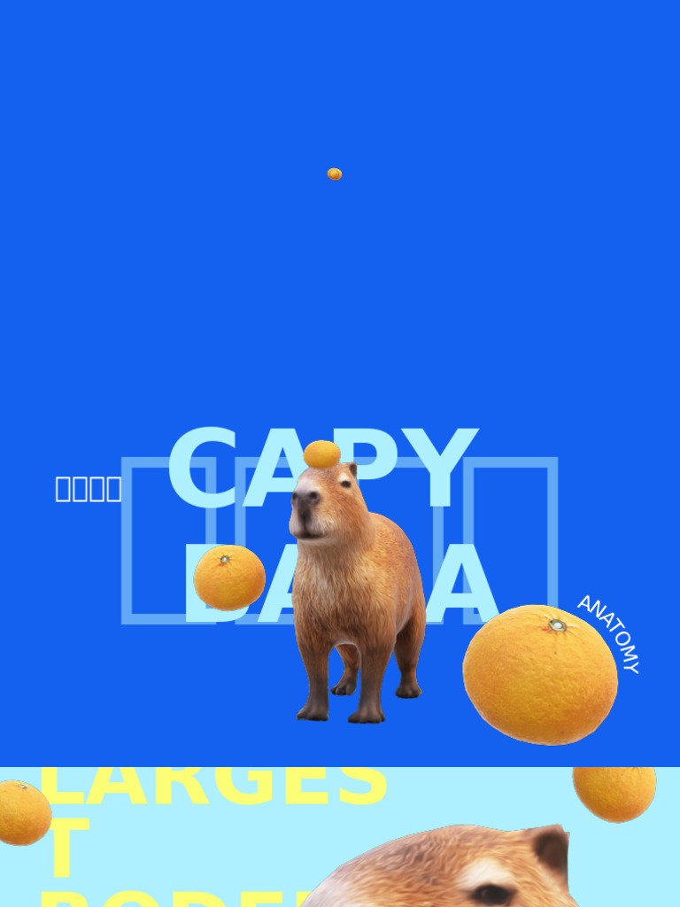 Capybara | PDF