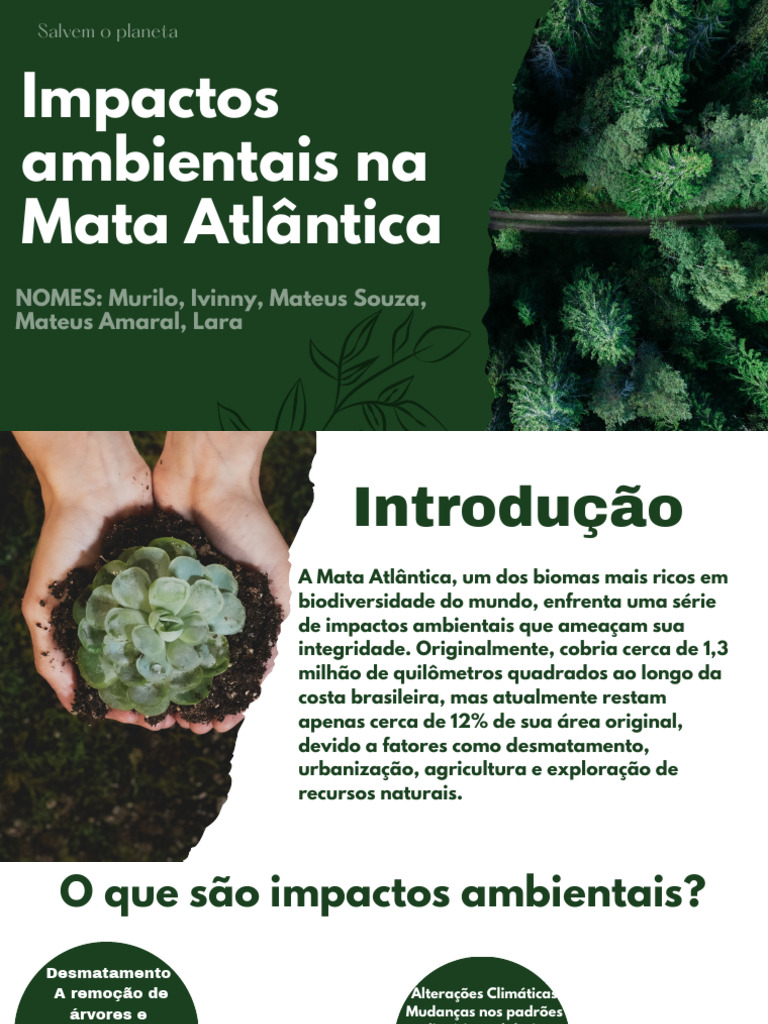 Impactos Ambientais na Mata Atlântica | PDF | Desmatamento | Biodiversidade