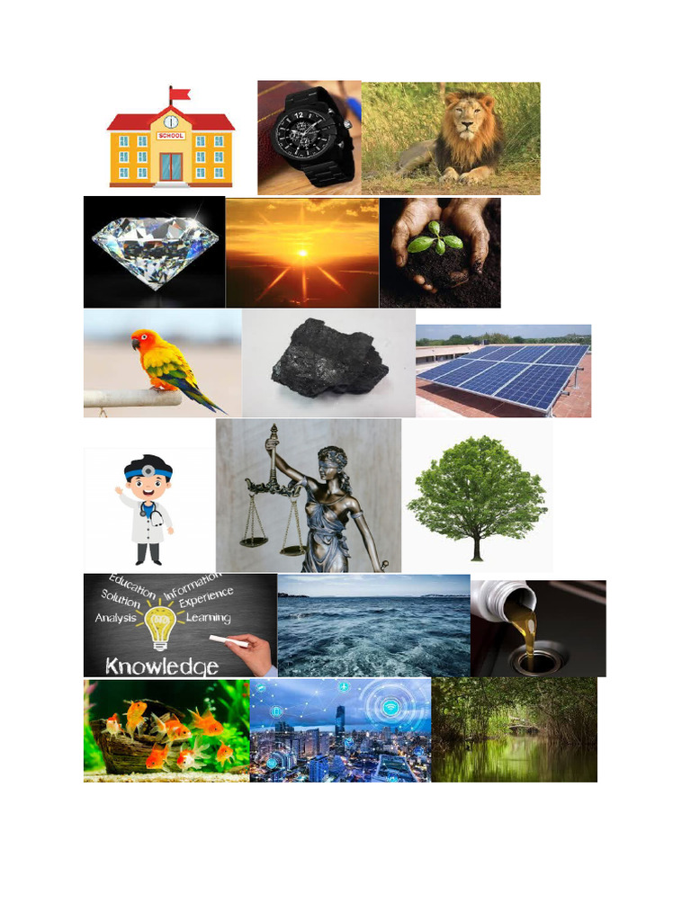 Geography Picture | PDF