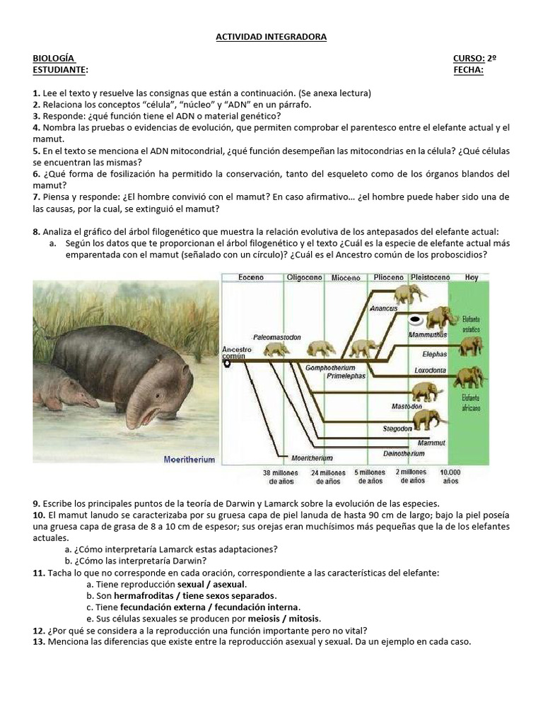 Evaluación Integradora 2024 Biologia | PDF