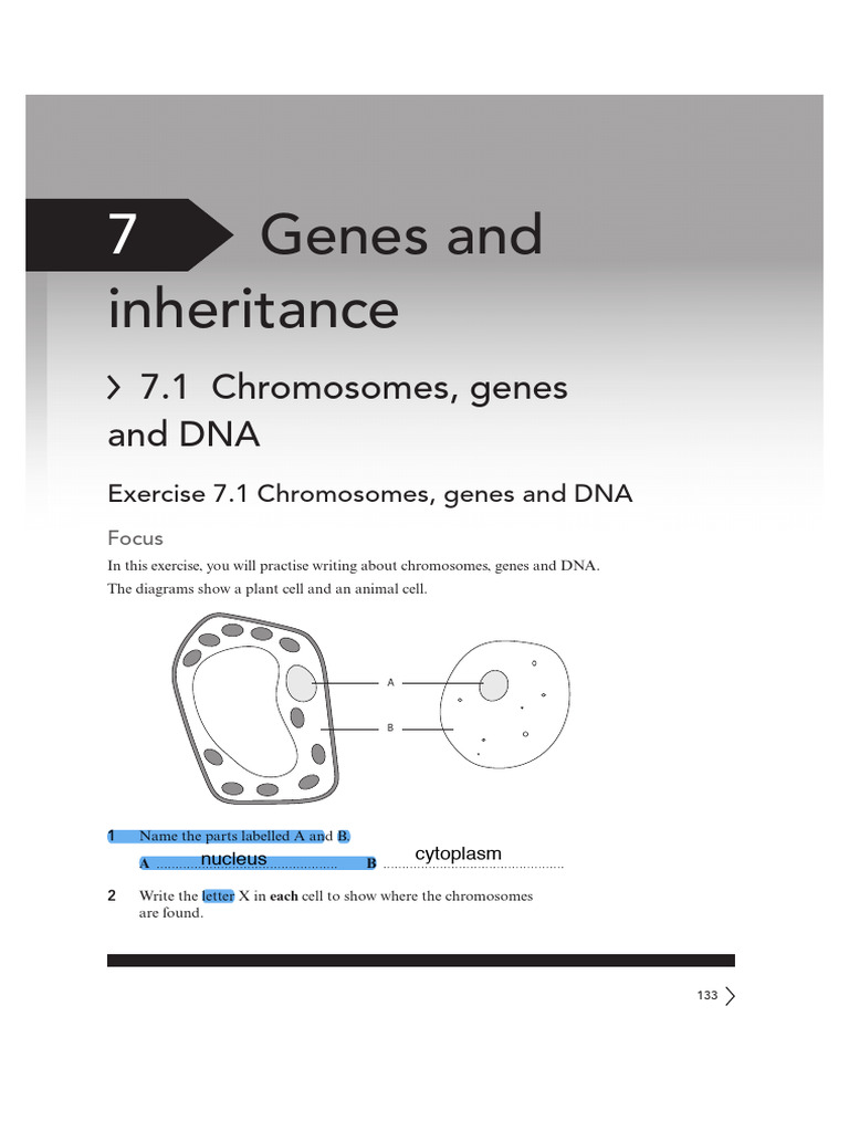 Chromosomes, Genes, and Inheritance | PDF | Cell (Biology) | Chromosome