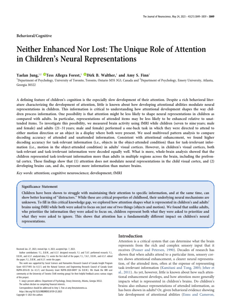 The Unique Role of Attention in Children's Neural Representations | PDF ...