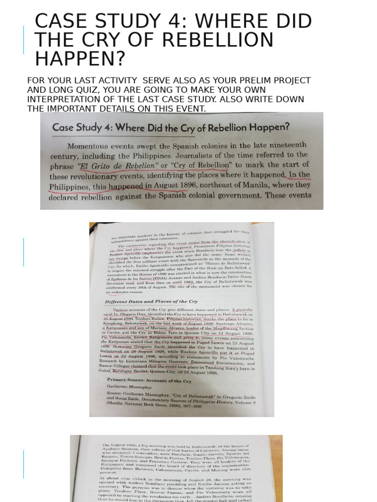 Rebellion Case Study Analysis Guide | PDF