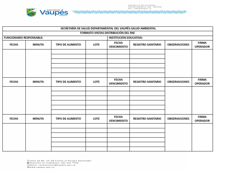 Formato PAE 2025 | PDF
