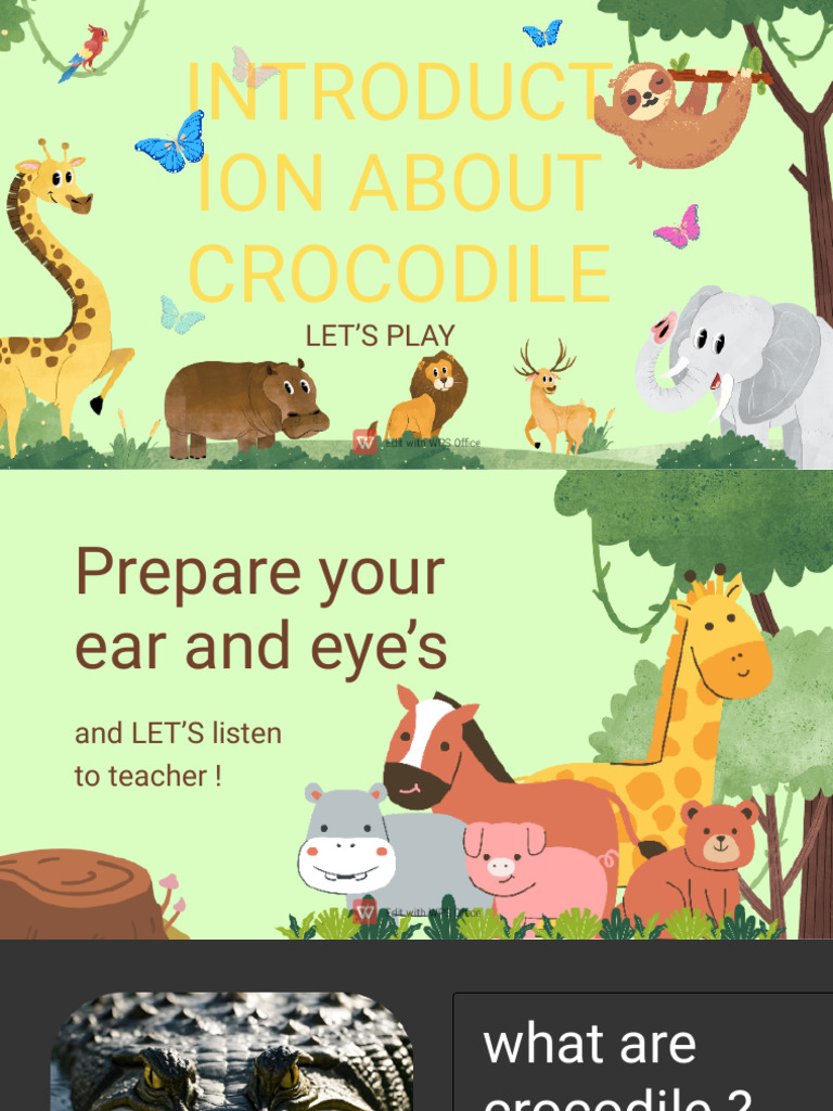 Crocodile Facts and Fun Activities | PDF | Crocodile | Tooth