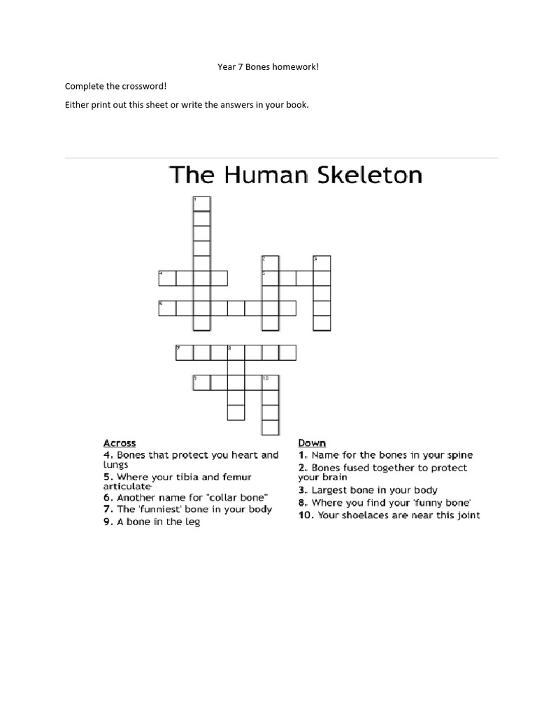 - Year 7 Bones homework.docx | PDF