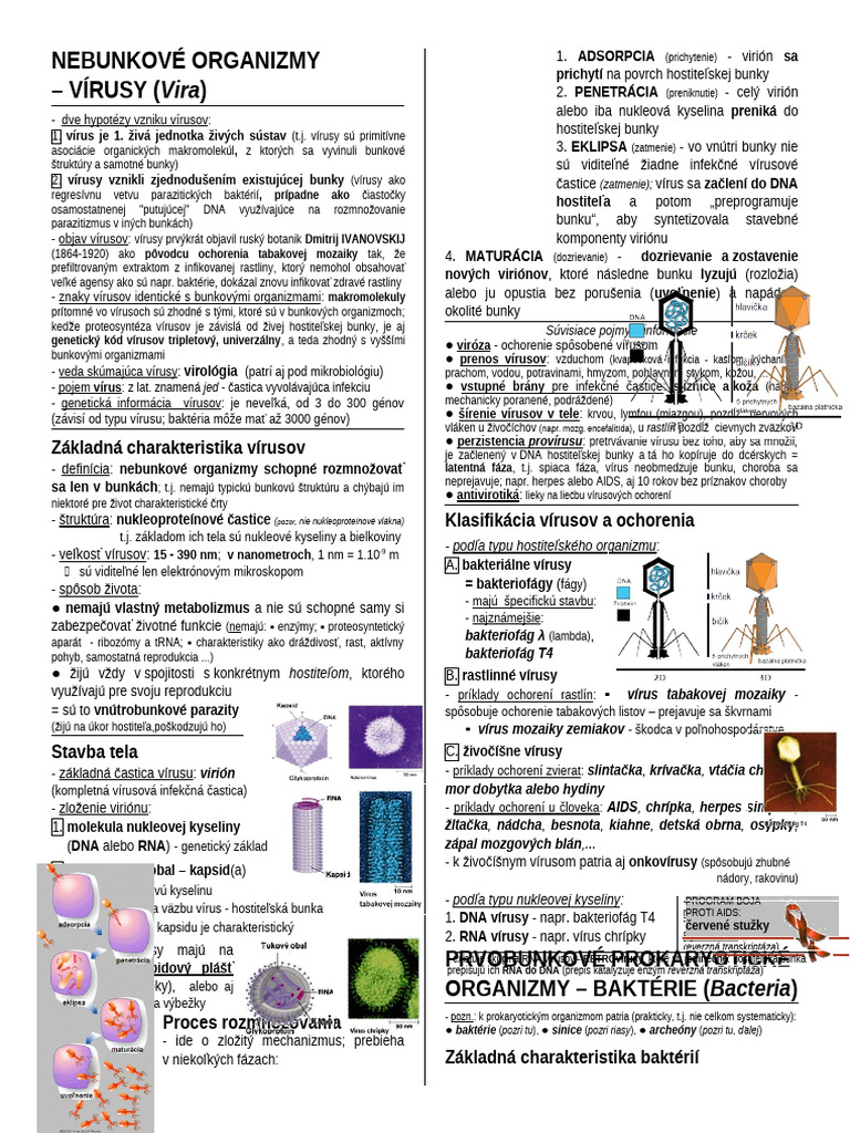 4 VIRUSY A BAKTERIE | PDF
