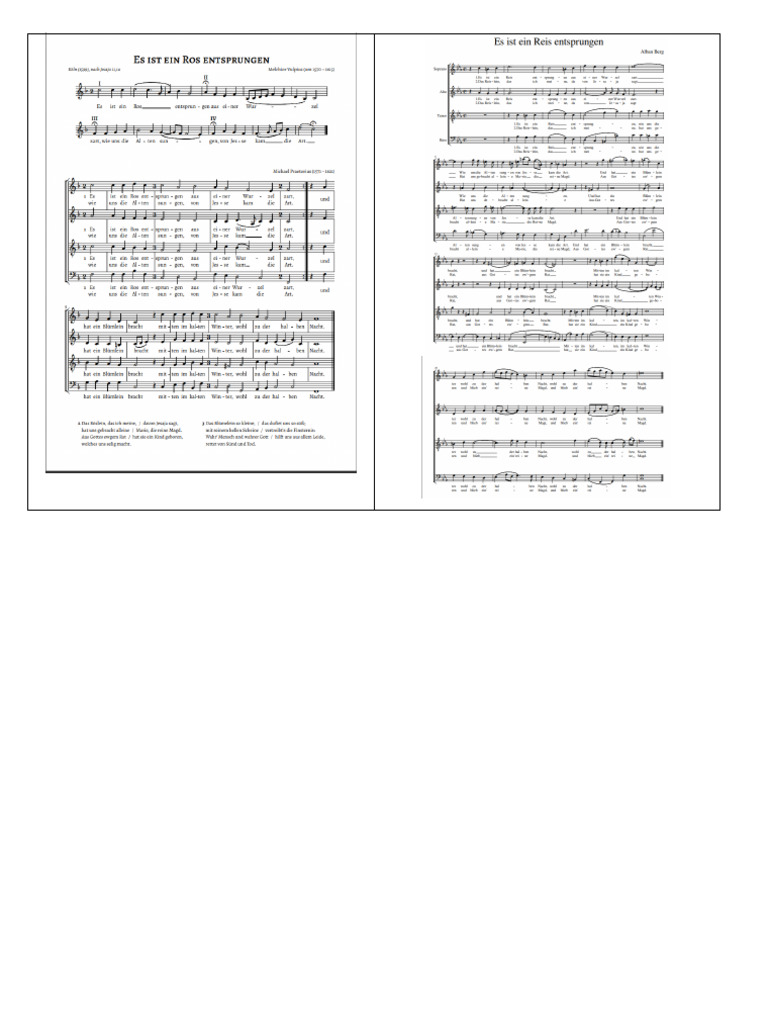 Comparaison Vulpius Praetorius Berg | PDF