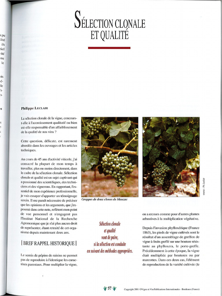 Leclair 2001 Sélection Clonale Et Qualité | PDF
