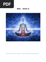Manual Karuna Reiki Avanzado | PDF