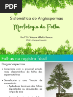 Filotaxia | PDF | Folha | Morfologia vegetal