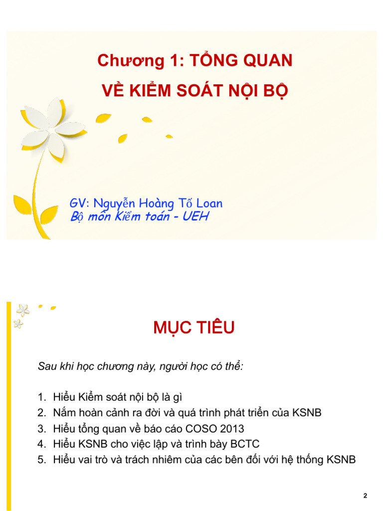 Chương 1 - Tổng quan về KSNB (bài giảng) | PDF