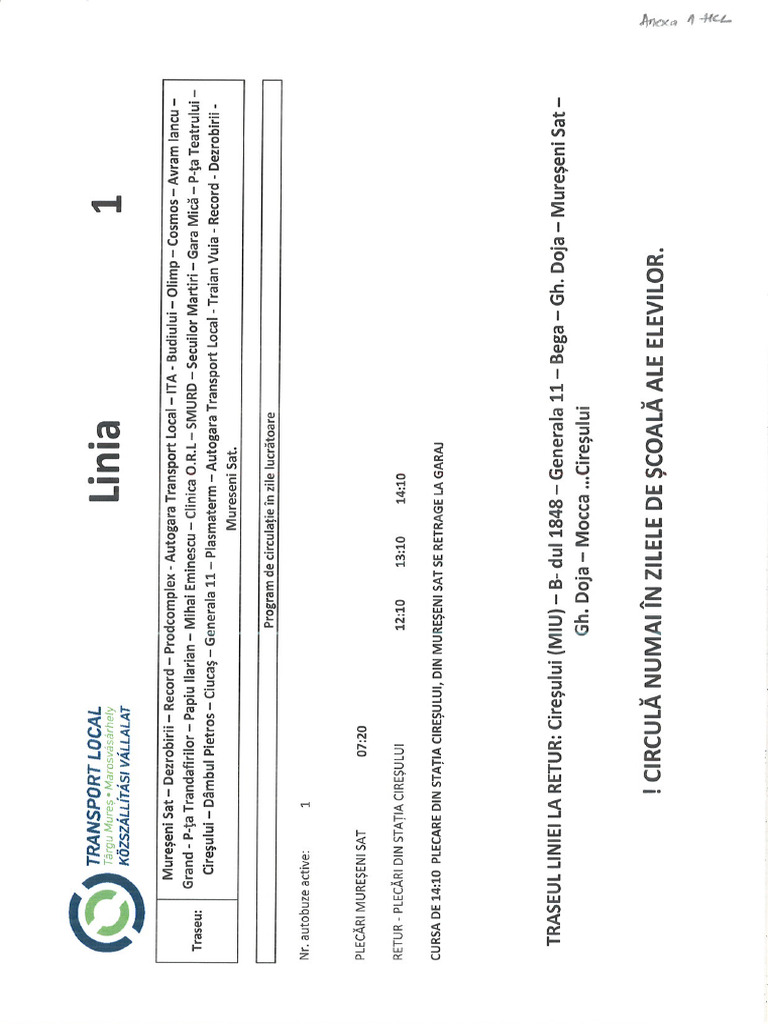 Anexa Program Transport Public | PDF