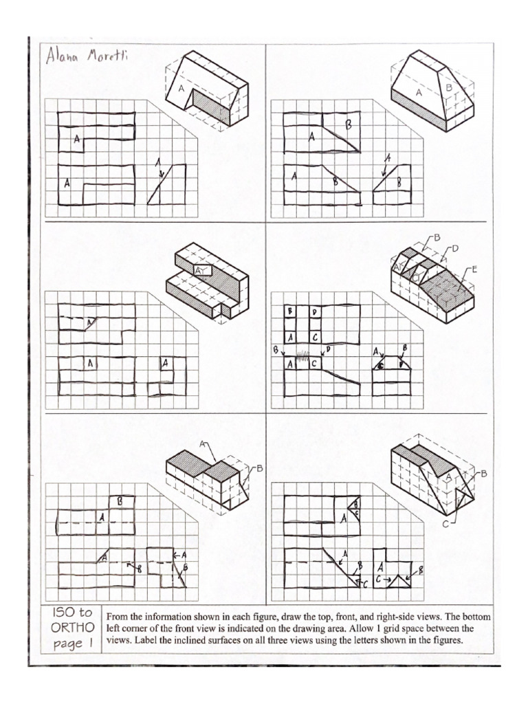 Alana Moretti, IsO to ORTHO | PDF