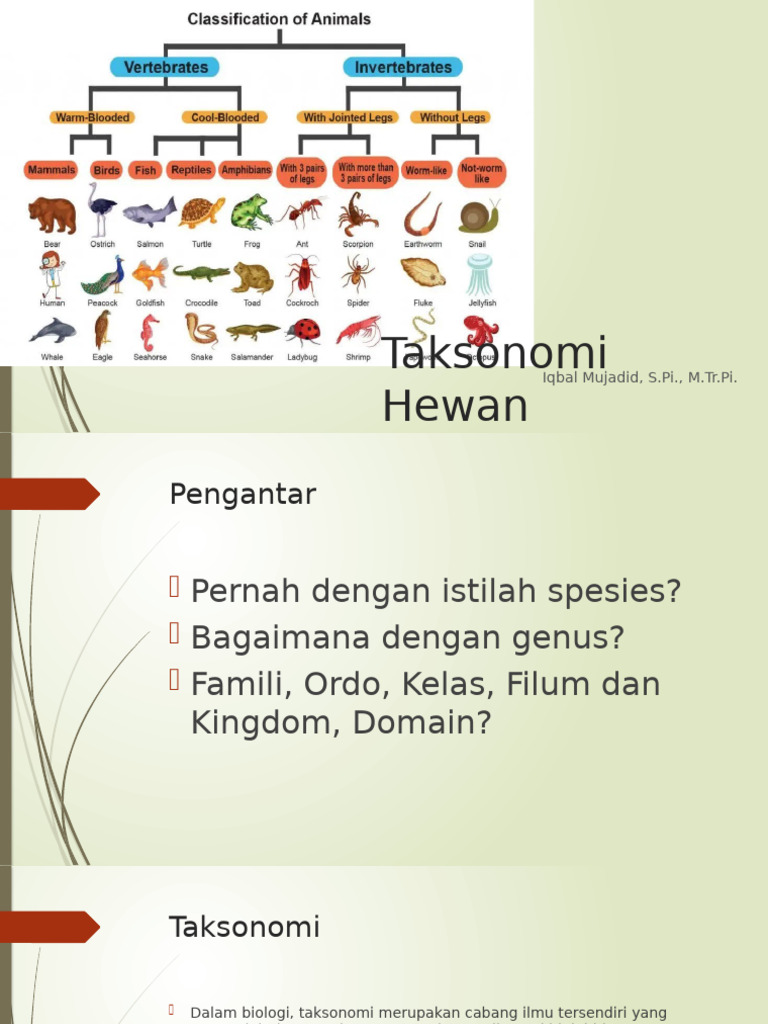 Pengantar Taksonomi Hewan | PDF