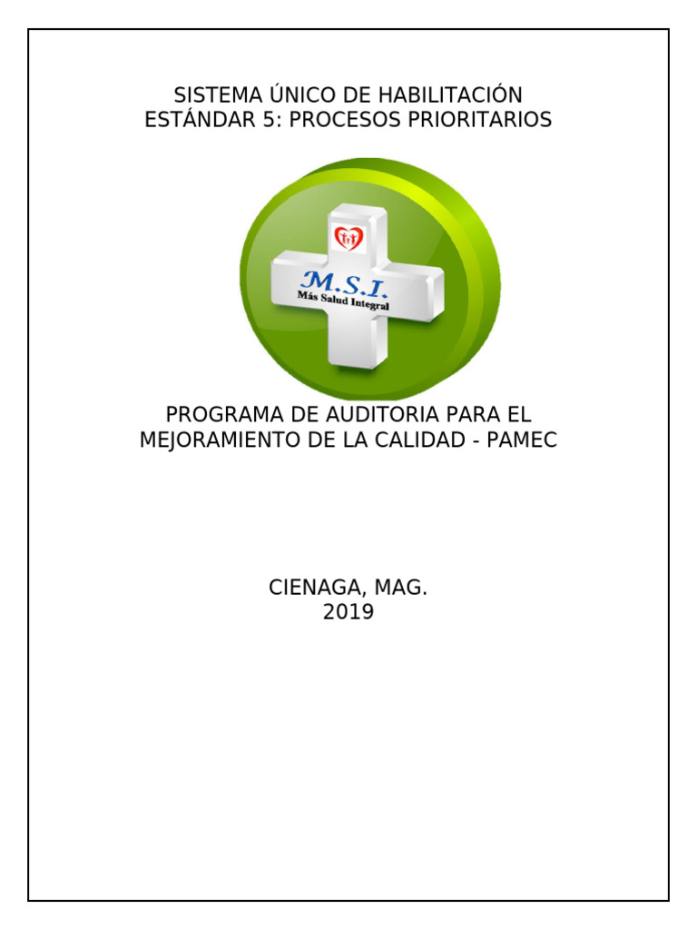 Auditoría de Calidad en Salud PAMEC | PDF | Auditoría | Calidad (comercial)