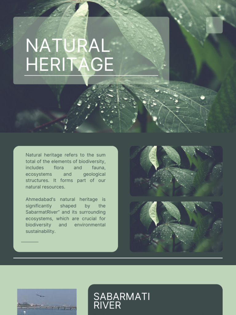 Ahmedabad's Natural Heritage and Biodiversity | PDF | Biodiversity ...
