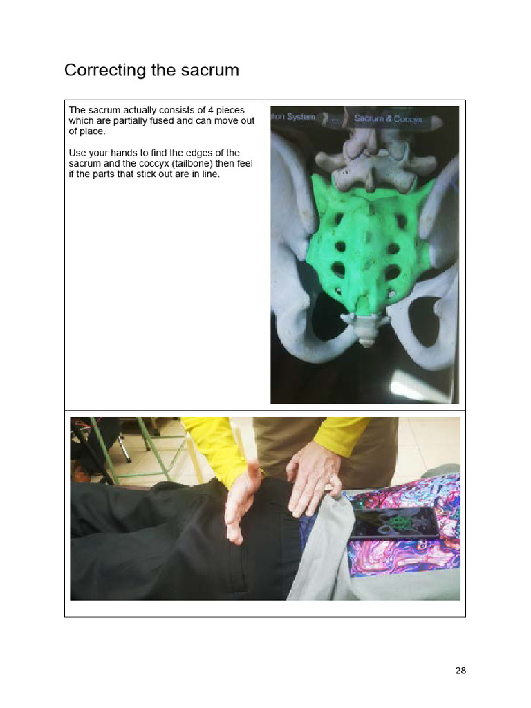 Chinese Chiropractic Class 3 - Spine-Compressed | PDF