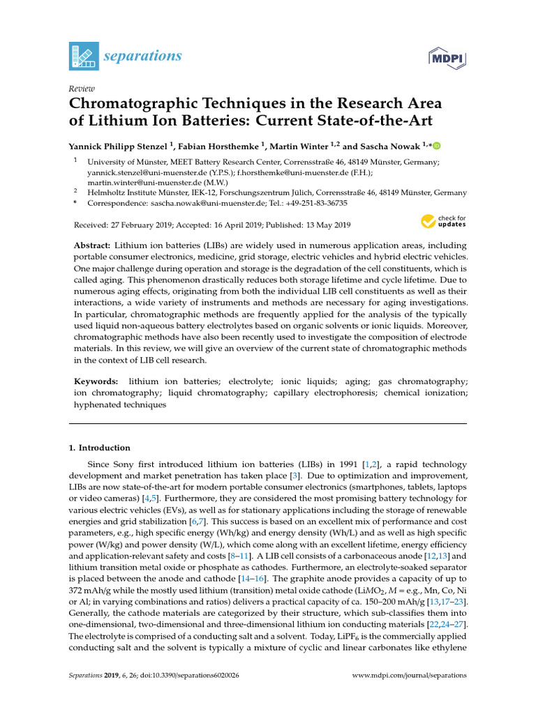 2019 Chromatographic Techniques in The Research Area of LIBS | PDF | Lithium Ion Battery | Anode