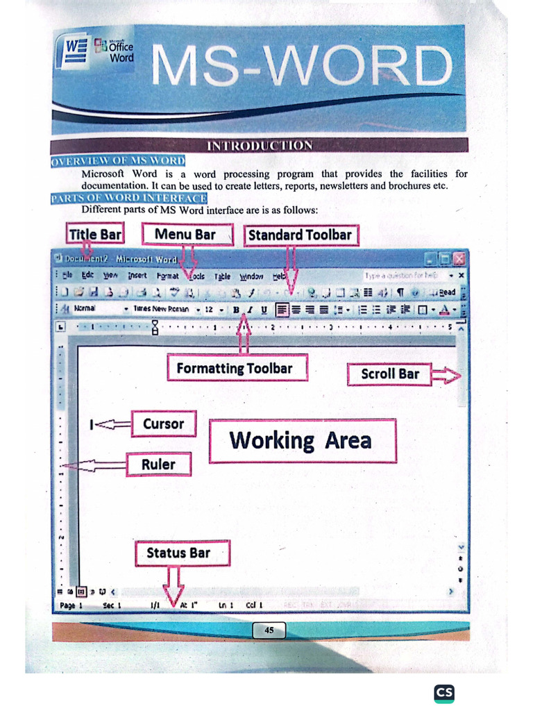 MS-Word Practical | PDF