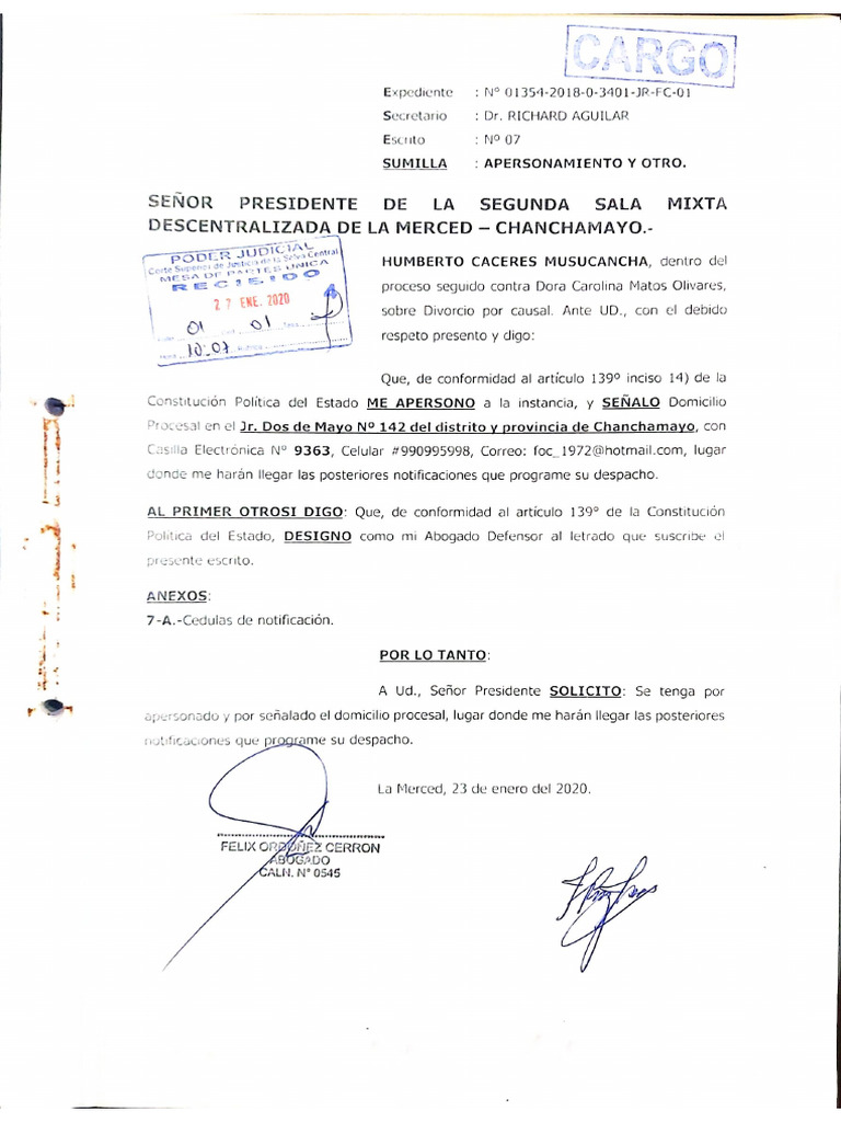 Documento 18 | PDF