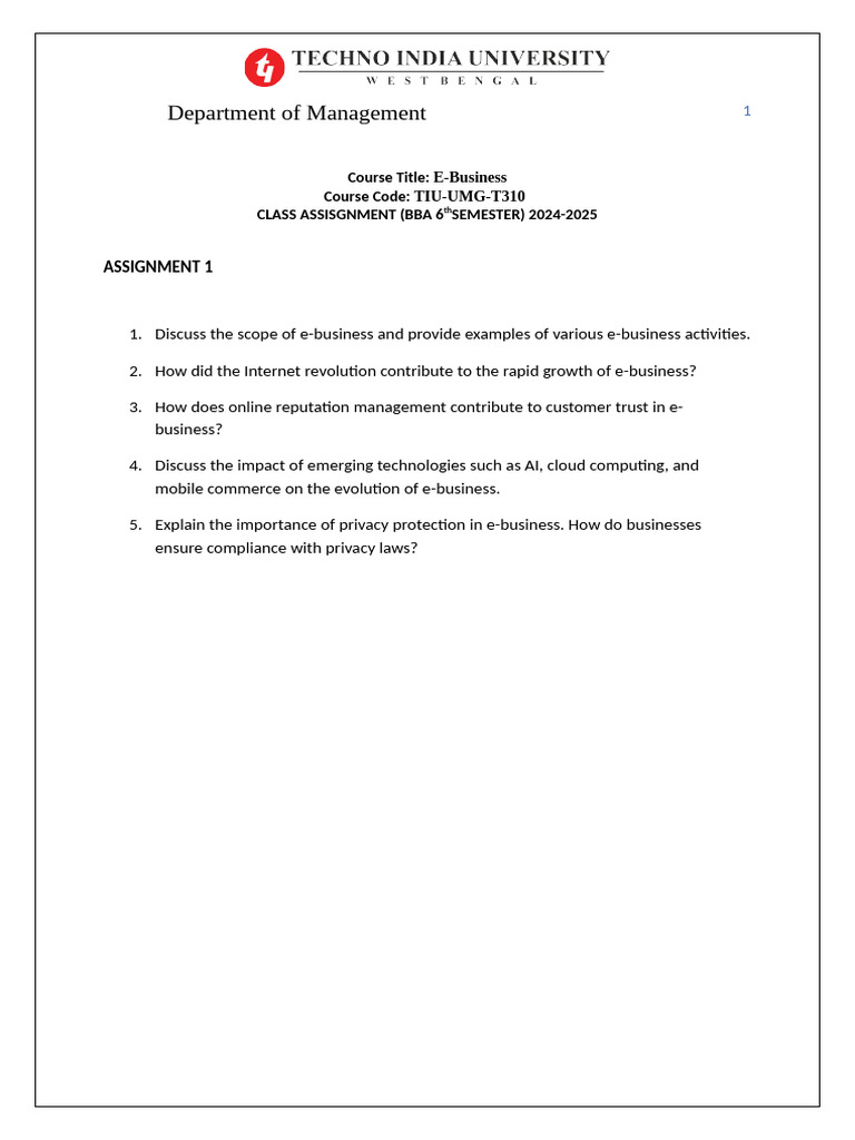 E-Business Course Assignment Overview | PDF